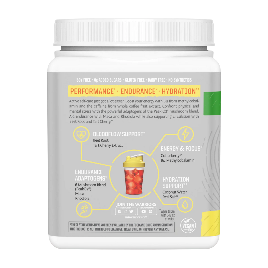Sunwarrior Active Energy | High Nutrition Food GmbH
